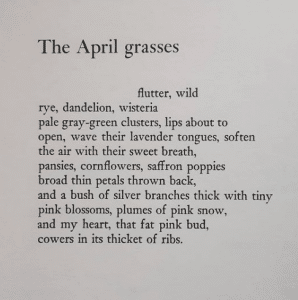 Screenshot_2021-04-26 poetryisnotaluxury on Instagram “The April ...