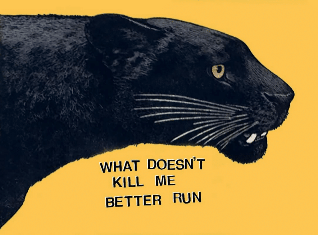 Happy 2026! – Better Living Through Literature